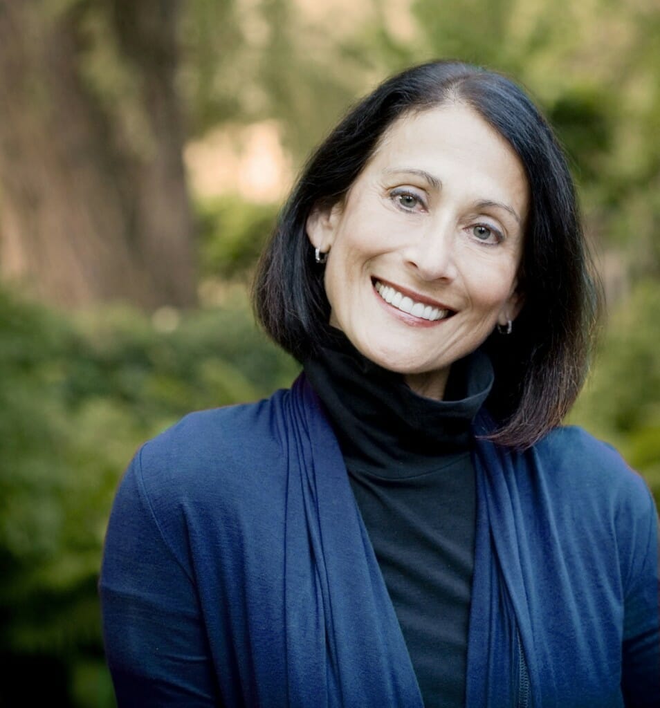 Q & A With Susan Wener, Author of Resilience | Sandra Bornstein